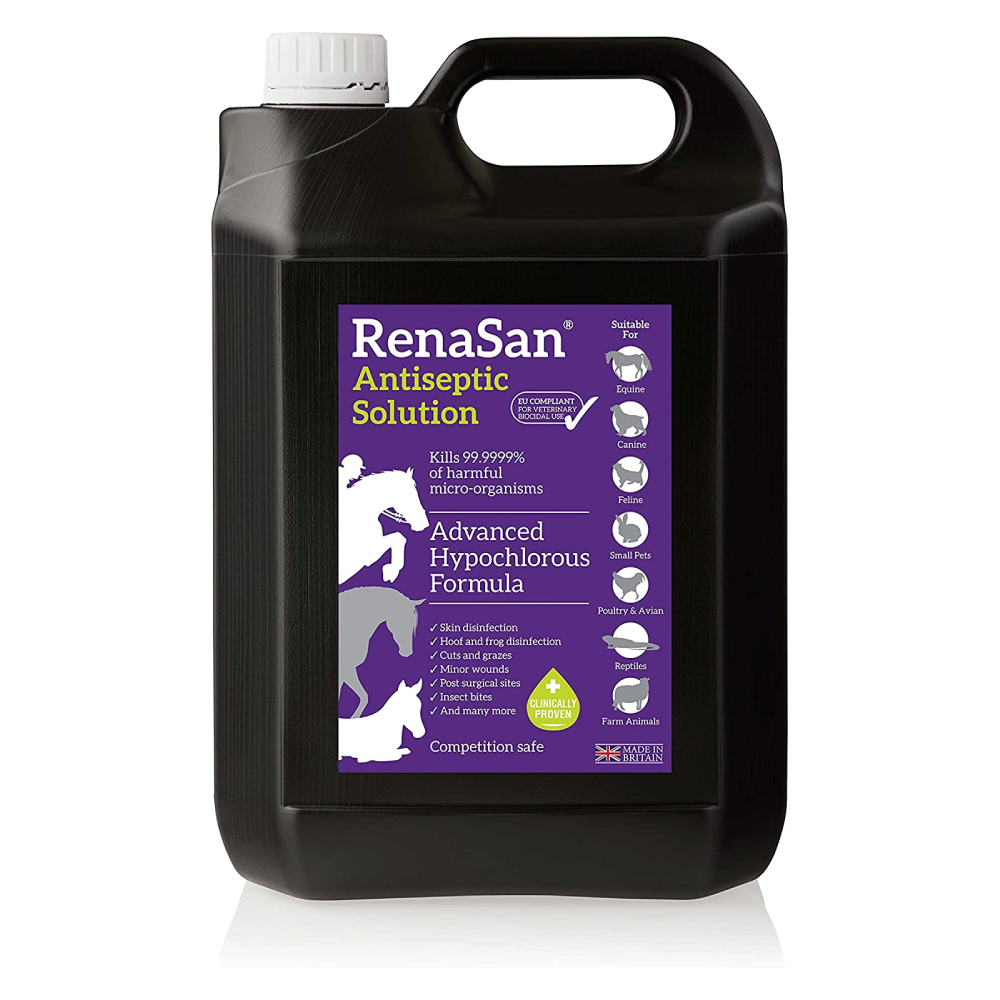 RenaSan Antiseptic Solution